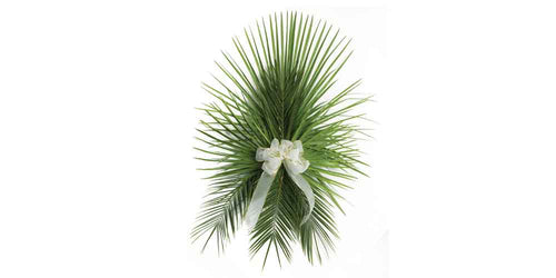 Fresh Palm Strips for Palm Sunday & Palm Decor